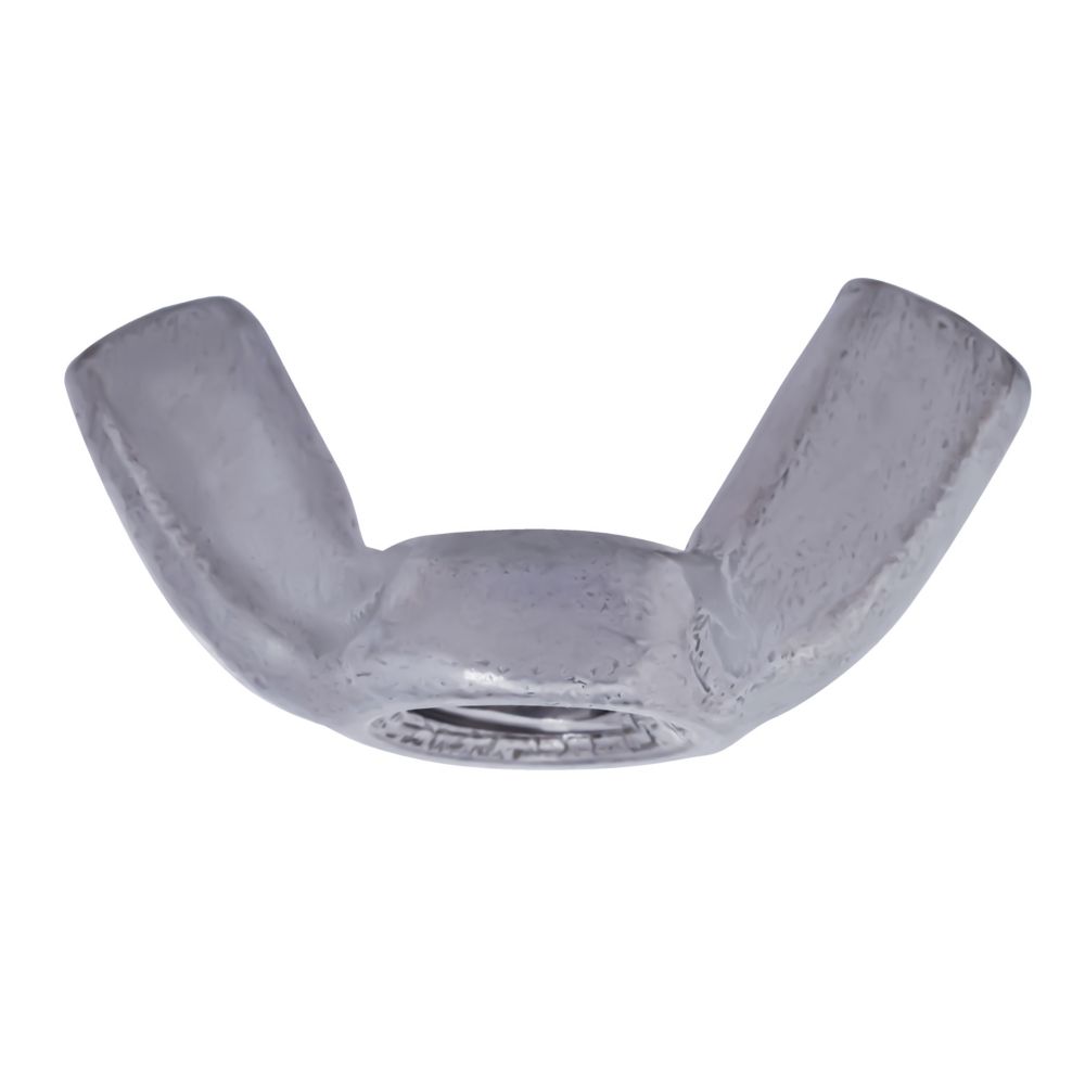 Paulin 1/4-20-inch Wing Nut - 18.8 Stainless Steel - UNC | The Home ...