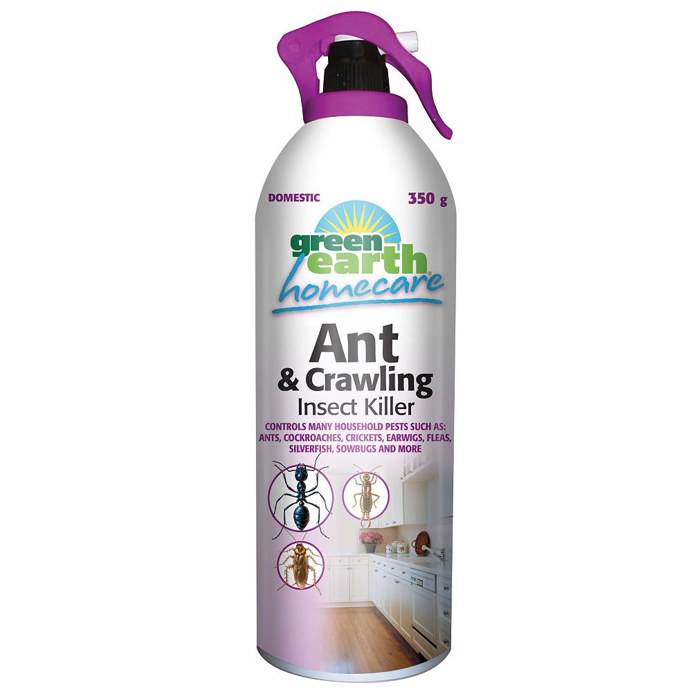 Green Earth 350 g Ant & Crawling Insect Killer | The Home Depot Canada