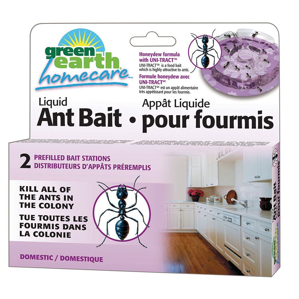 Green Earth Home Care Liquid Ant Bait | The Home Depot Canada