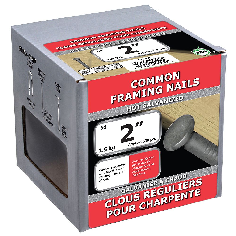 Paulin 2-inch (6d) Common Framing Nails Hot Galvanized - 1.5kg (approx ...