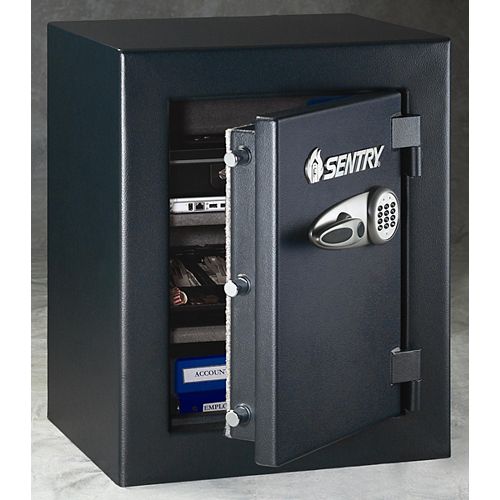 Sentry Safe Coffre-fort de sécurité | Home Depot Canada