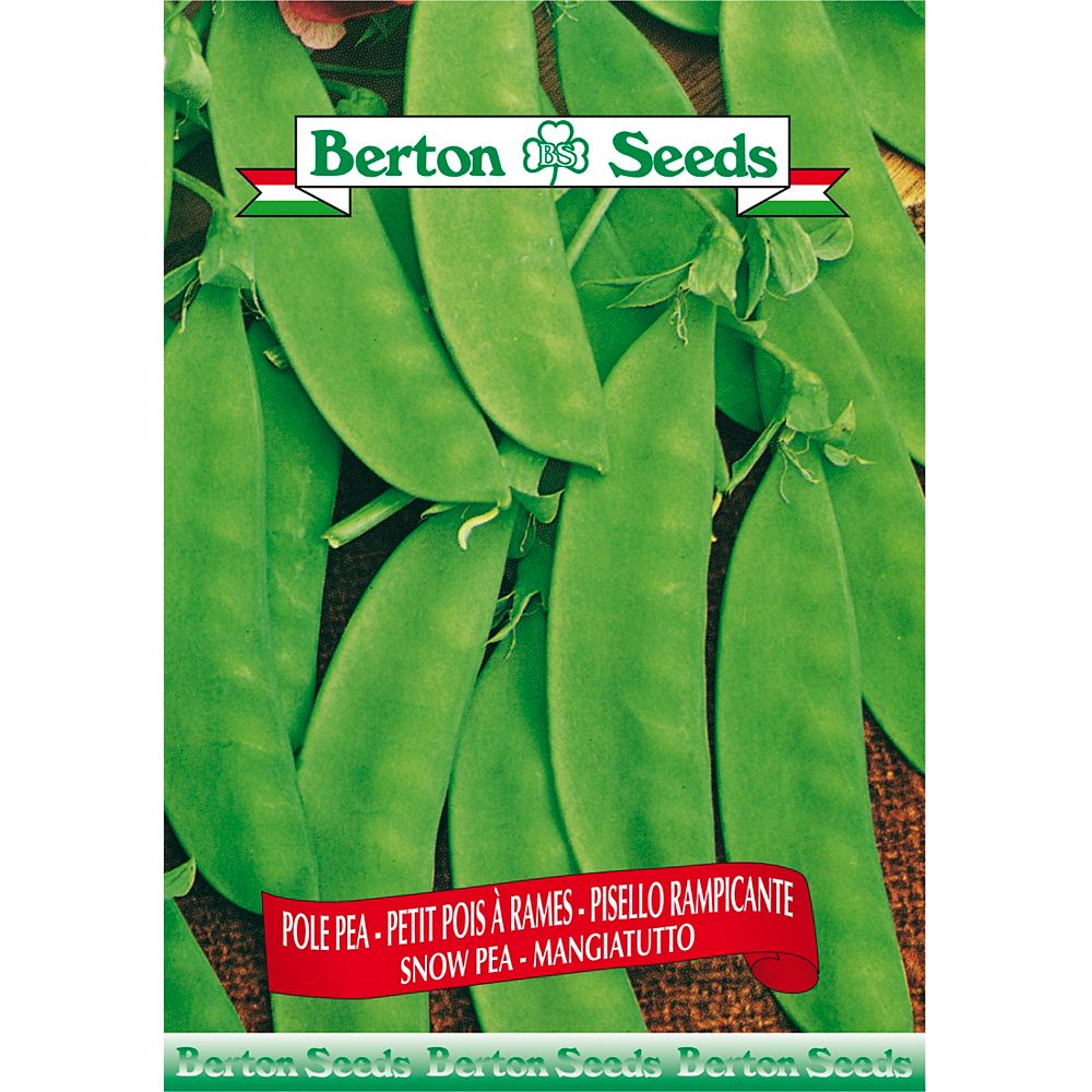 Berton Seeds Co. Limited Pole Snow Pea Seeds | The Home Depot Canada