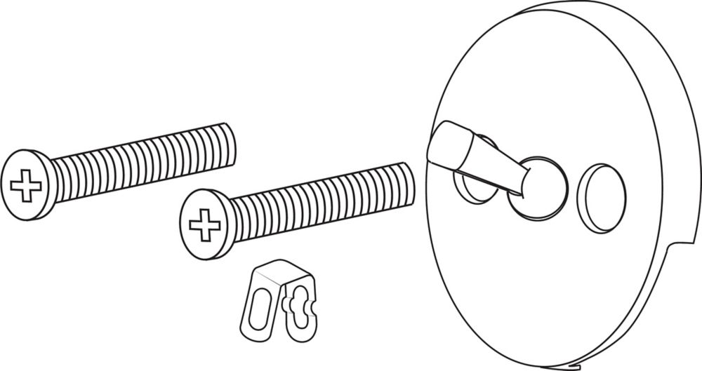 Delta Overflow Plate and Screws Kit in Polished Brass | The Home Depot ...