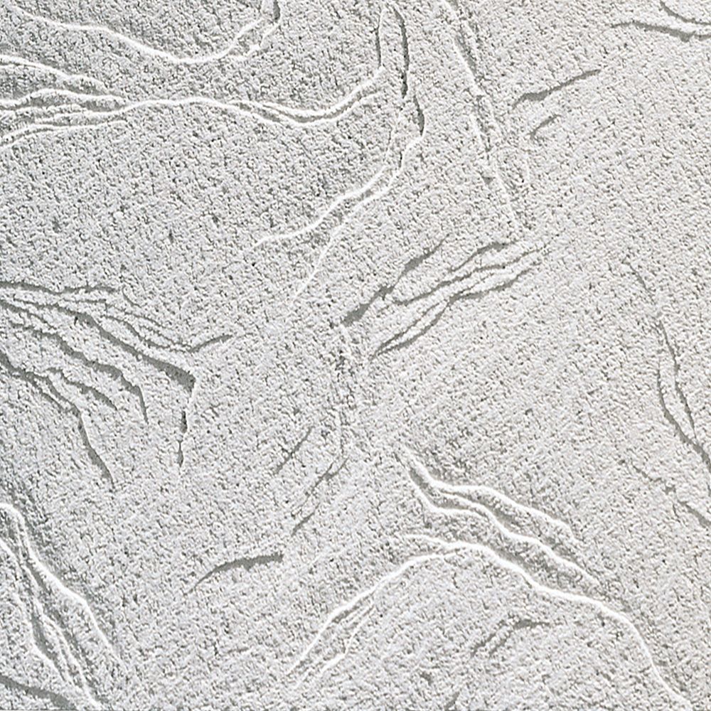 USG/CGC Ceilings 2 ft. x 2 ft. Sandrift Lay-in Ceiling Tile (Sold by ...