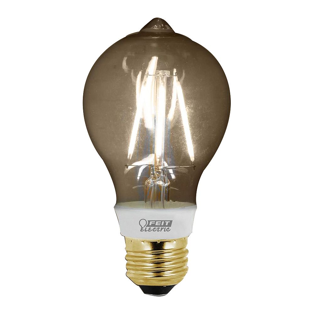 Feit Electric LED 60w At19 Med Base Vintage Sw | The Home Depot Canada