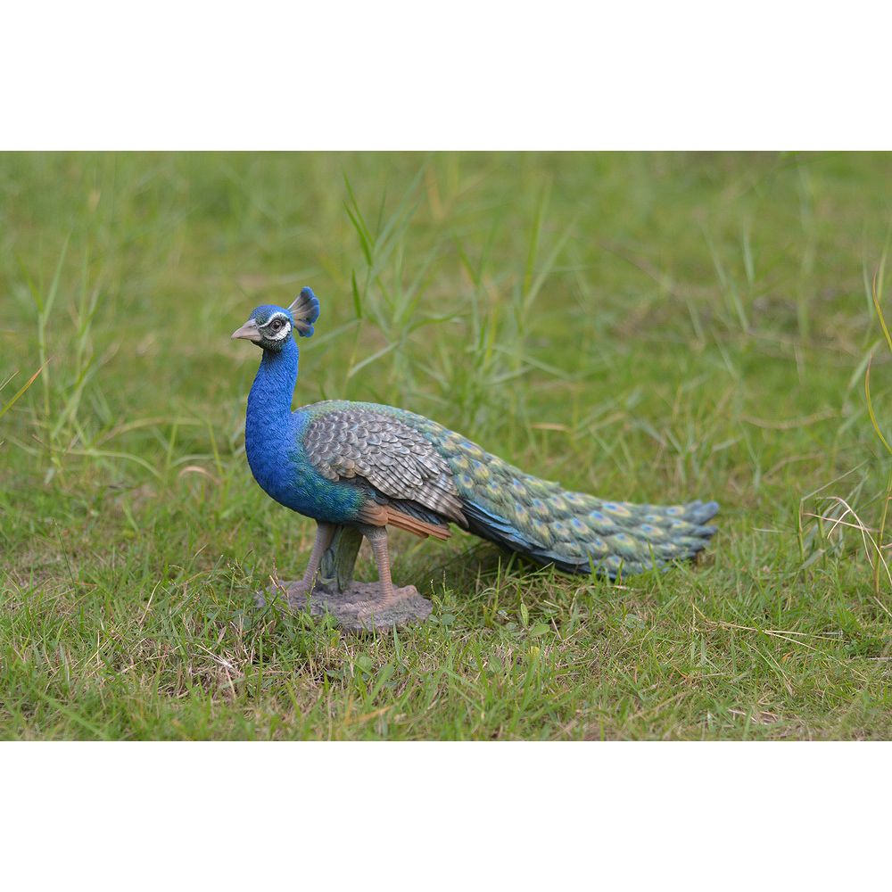 Hi-Line Gift Small Peacock Statue | The Home Depot Canada