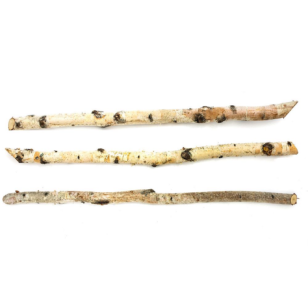 BTN Natural White Birch Pole (3-Pack) | The Home Depot Canada