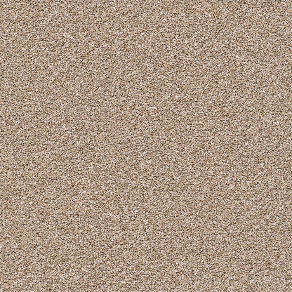 Lifeproof Moquette texturée Simple Elegance, 12 pi x longeur sur mesure ...