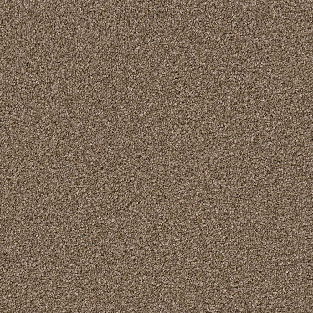 Lifeproof Simple Elegance Archer 12 ft. x Custom Length Textured Carpet ...