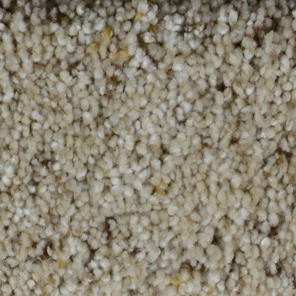 Lifeproof Galore I Springs 12 ft. x Custom Length Textured Carpet | The ...