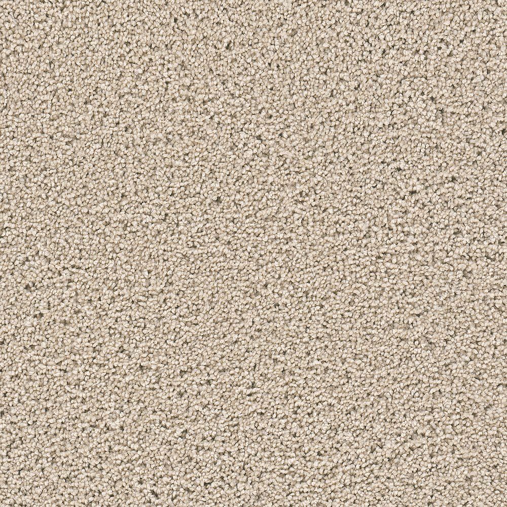 Lifeproof Moquette texturée unie Great MomentsII, 12 pi x longeur sur ...