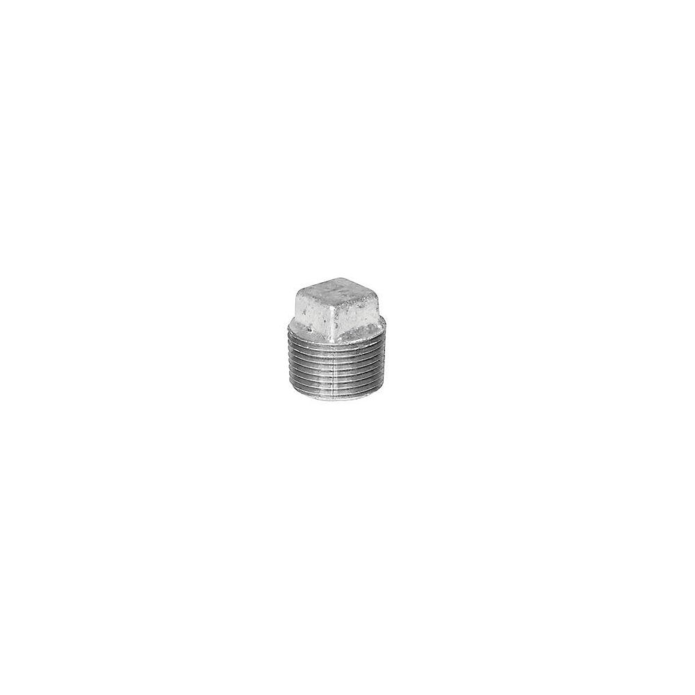 Proplus Galvanized Plug, 1/4 inch | The Home Depot Canada