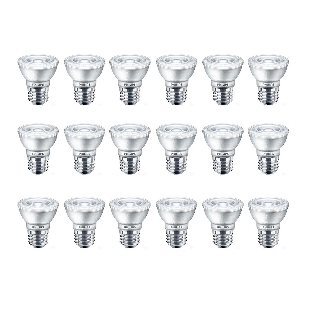 Philips 50W Equivalent Glass Daylight (5000K) Par16 LED Light Bulb (18 ...