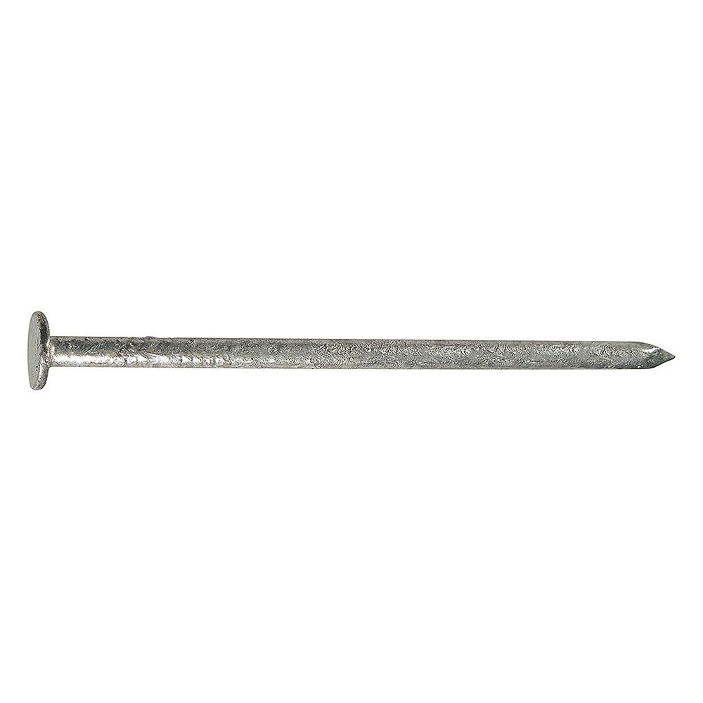 Paulin 12-inch (120D) Common Framing Spike - Hot Dipped Galvanized ...
