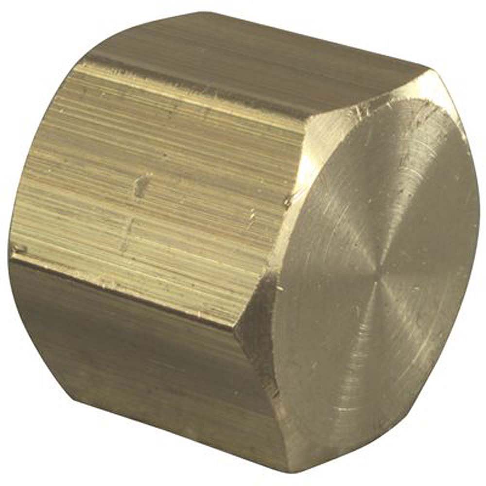 Sioux Chief 3/4 inch Lead-Free Brass Fpt Cap | The Home Depot Canada