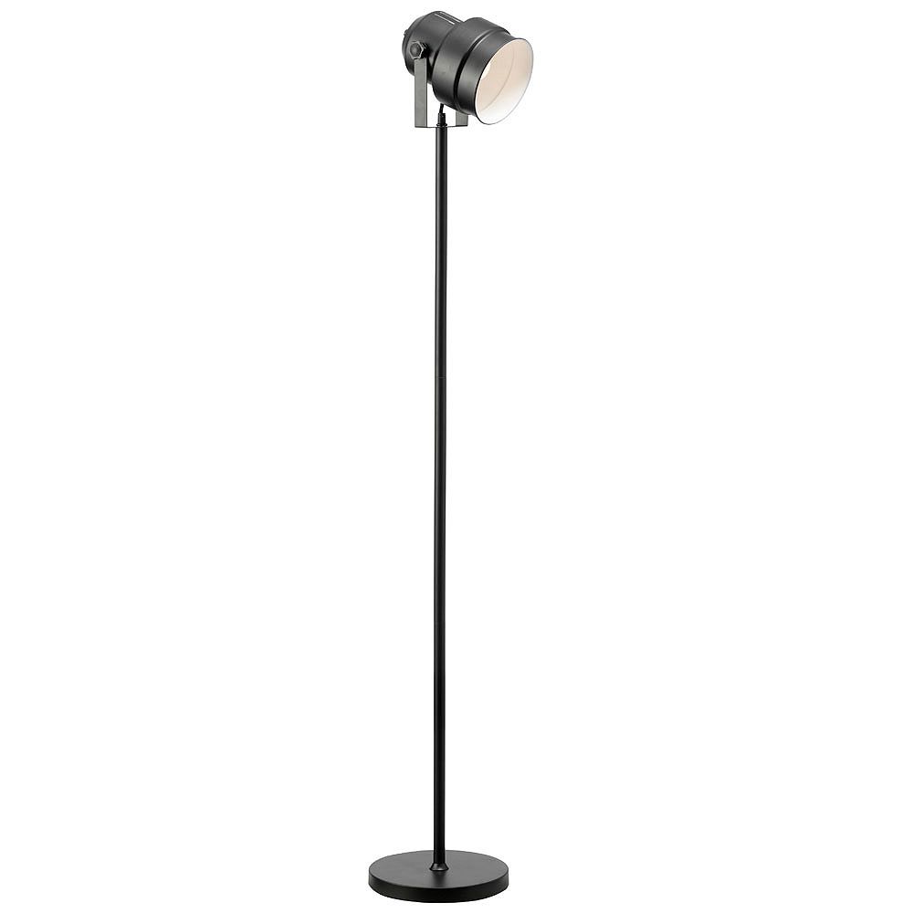 Dainolite Floor Spot Light, Matte Black Finish | The Home Depot Canada