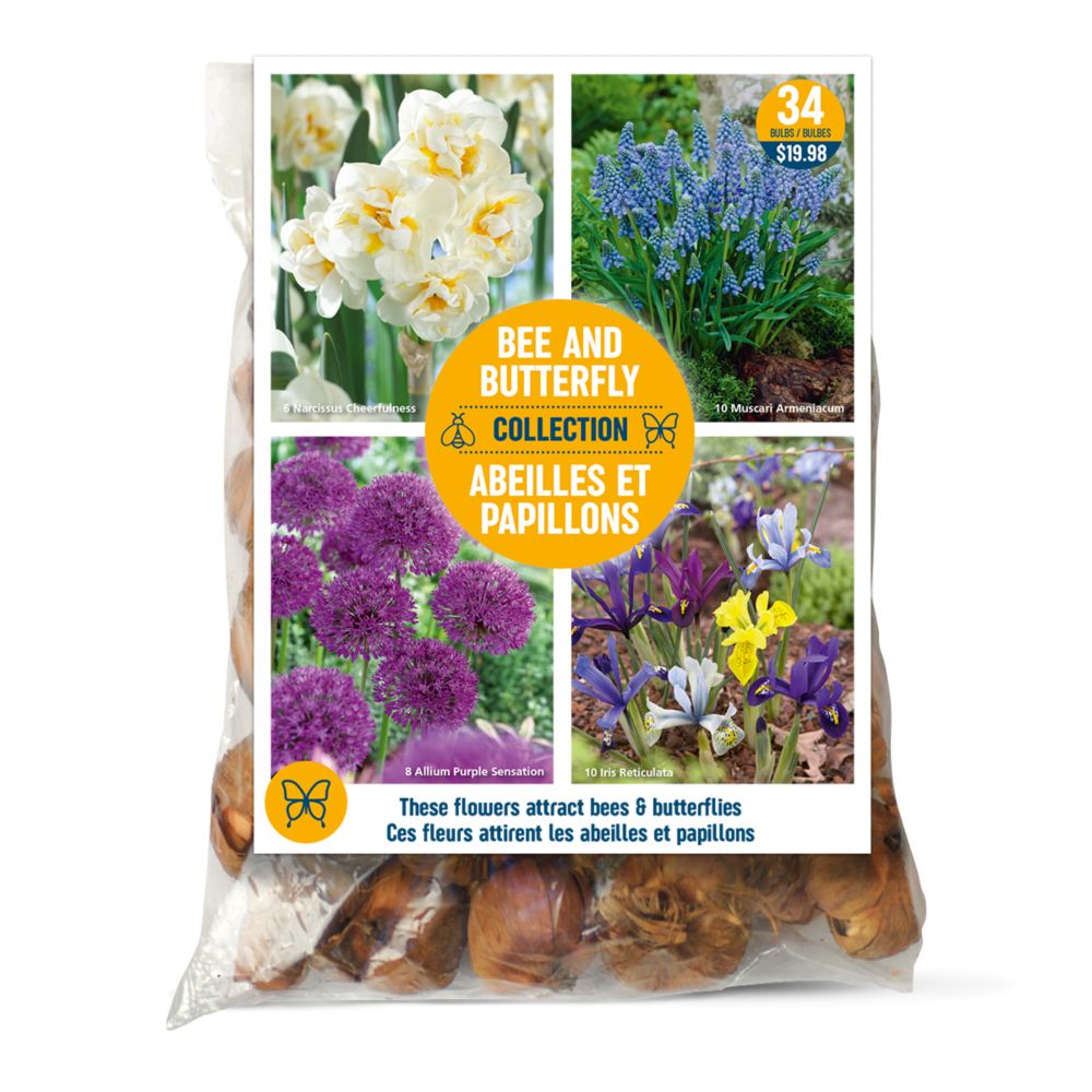 Bulbs are Easy Bee & Butterfly Collection | The Home Depot Canada