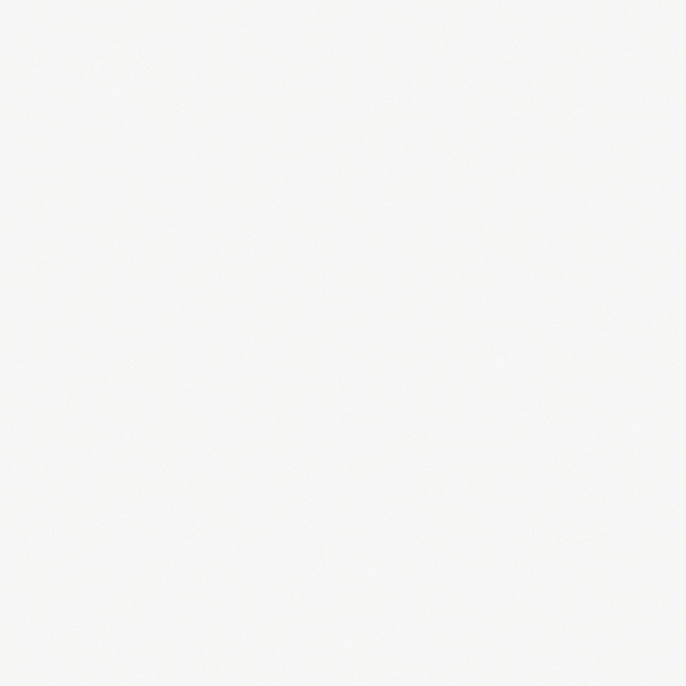 Formica Laminate Brite White 5 ft. x 12 ft. Laminate Sheet in Matte ...