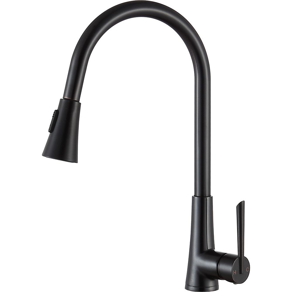 ANZZI Tulip Single-Handle Pull-Out Sprayer Kitchen Faucet in Oil Rubbed ...