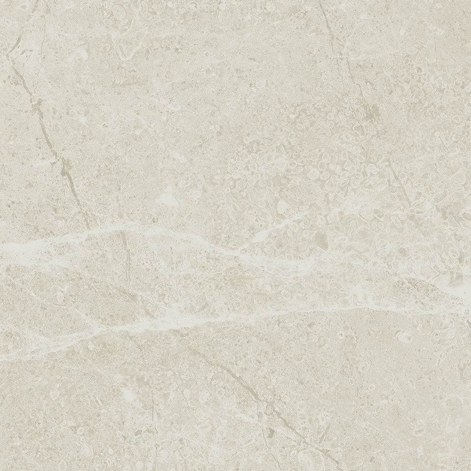 Enigma Carrelage de céramique Vanizio Ivory de 12 po x 12 po (569 pi ...