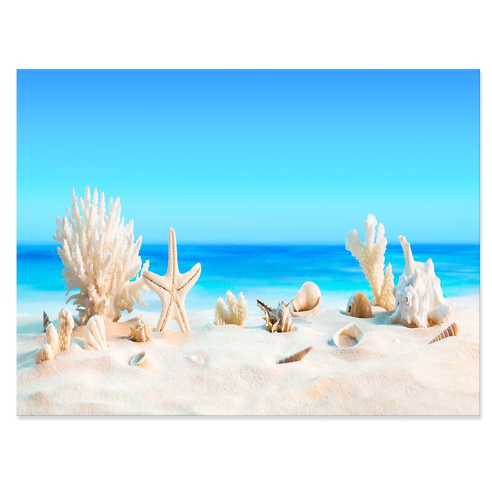 Designart Seashells On Tropical Beach - Seashore Photo Canvas Print ...